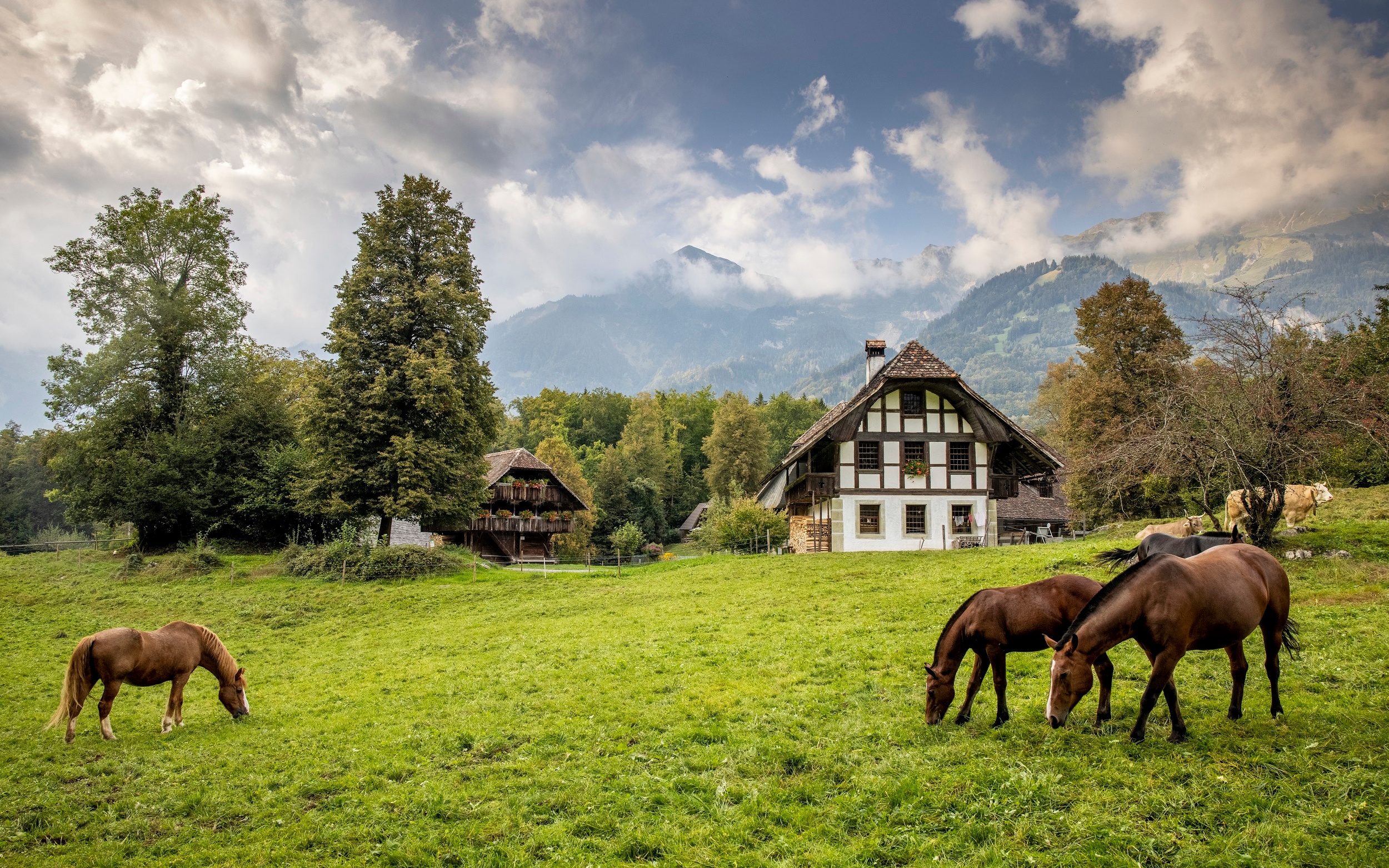 Ballenberg Open Air Museum | Bürgenstock Resort