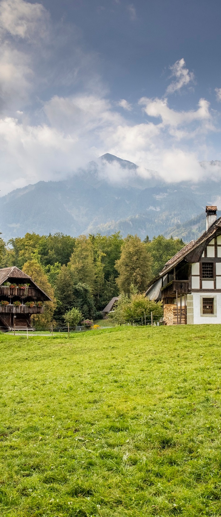 Ballenberg Open Air Museum | Bürgenstock Resort